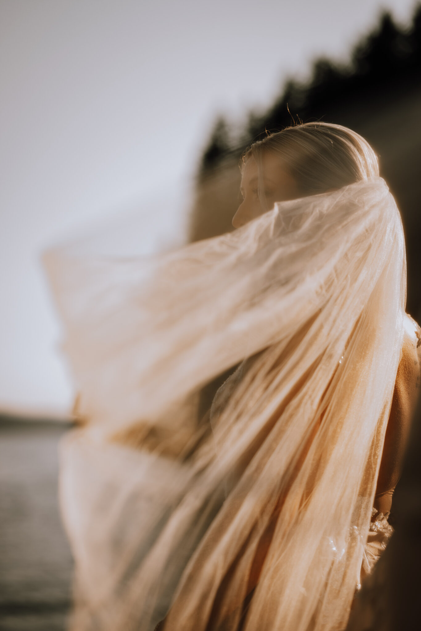 Elope in B.C. - Golden Ears Provincial Park Elopement ...